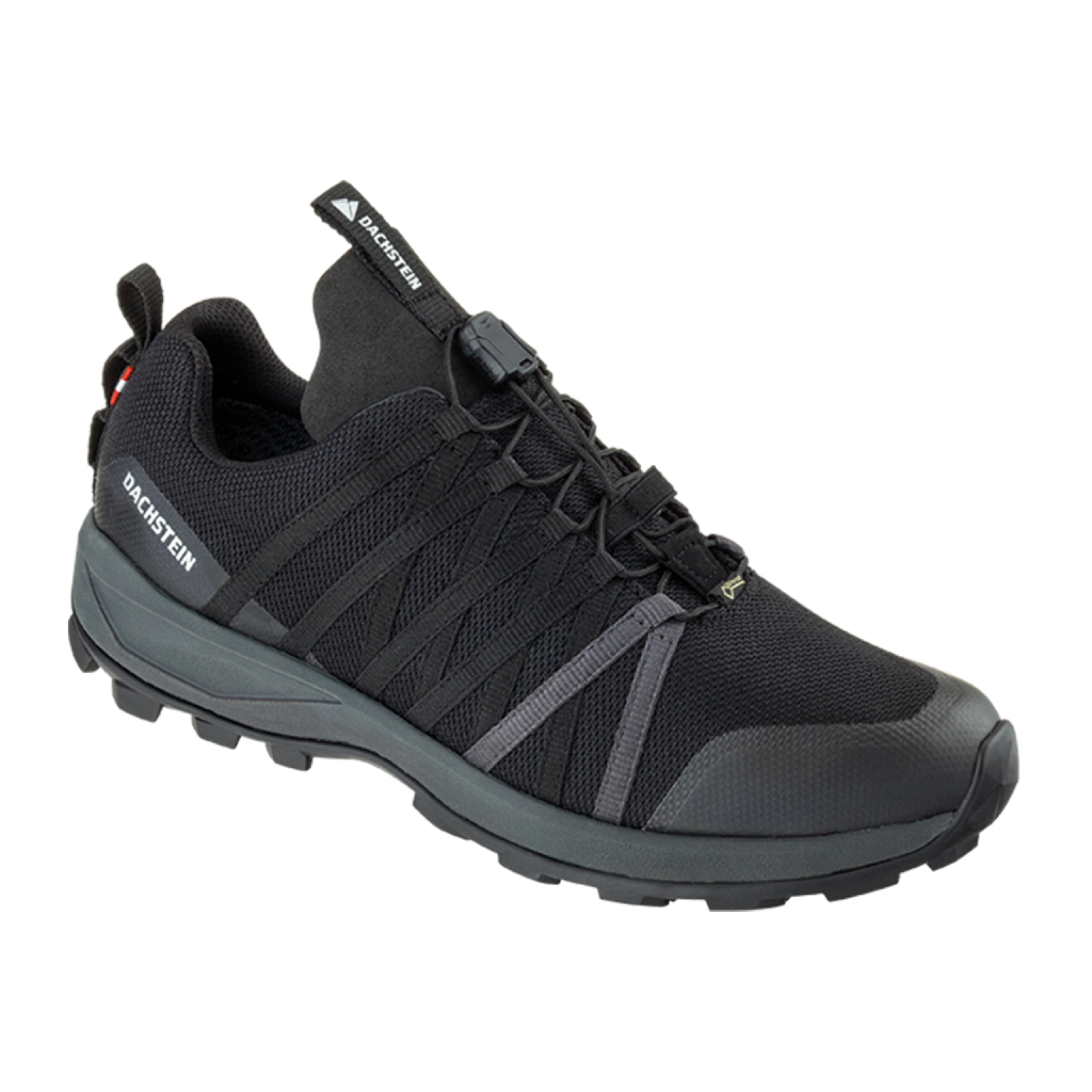 Dachstein Delta Pace GTX GORE-TEX Wanderschuhe Trekkingschuhe Herren