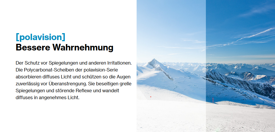 Uvex Fire Polavision black Ski&Snowboardbrille